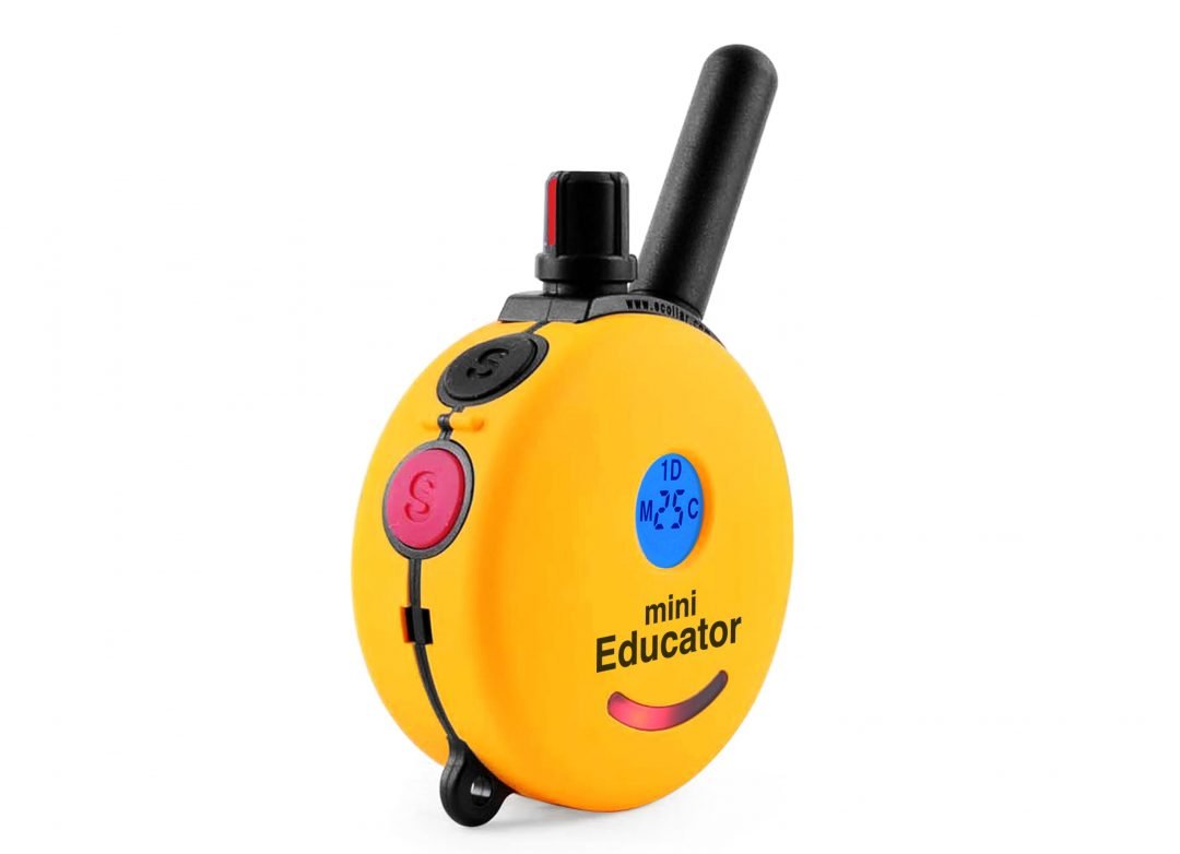 ET300 Collar Mini Educator 700m Remote Dog Trainer - Dog Sense NZ