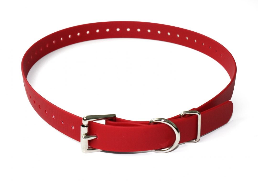 Biothane Collars For Dogs By E Collar Technologies Dog Sense New Zealand biothane-collars-for-dogs-by-e-collar-technologies-dog-sense-new-zealand