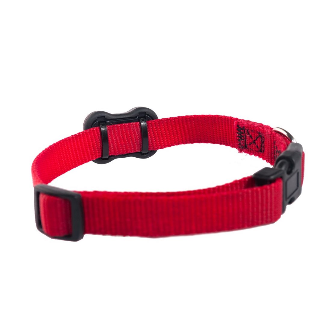 FITBARK 2 (Because Your Dog DESERVES ONE!) - Dog Sense NZ