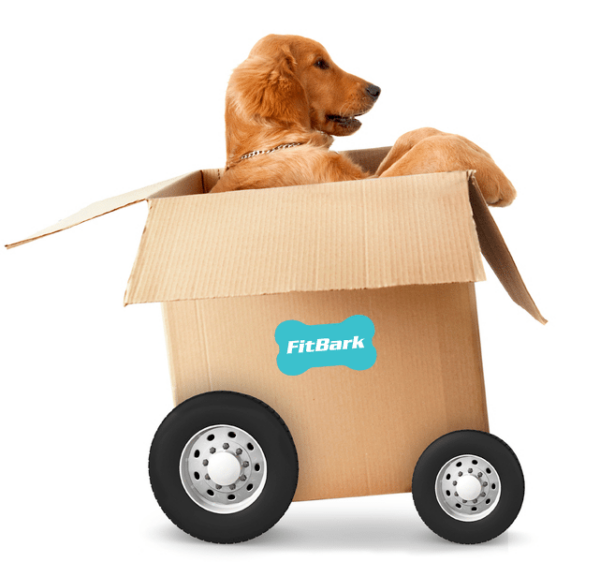 FitBark 2 Activity Monitor. Giving Your Dog A Healthier (& LONGER) Life